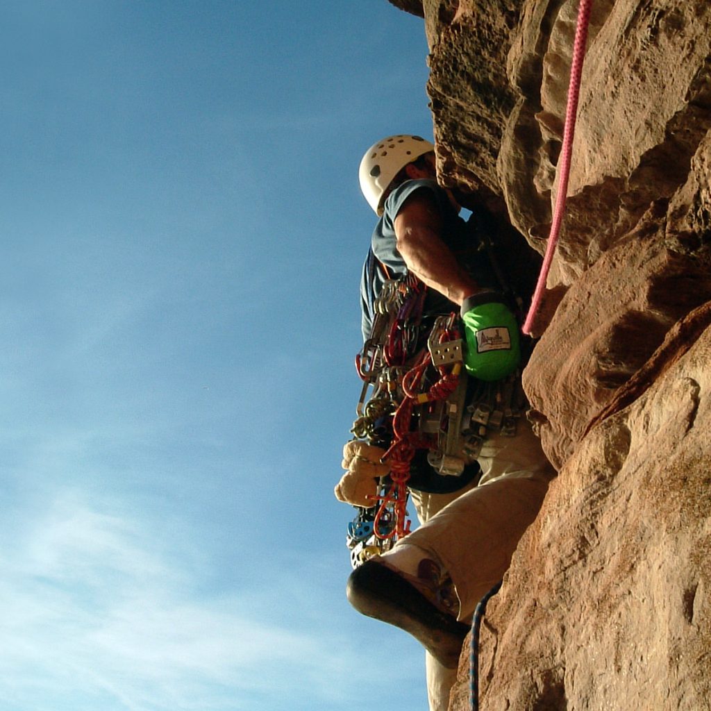 Climbing - Aiguille Alpine